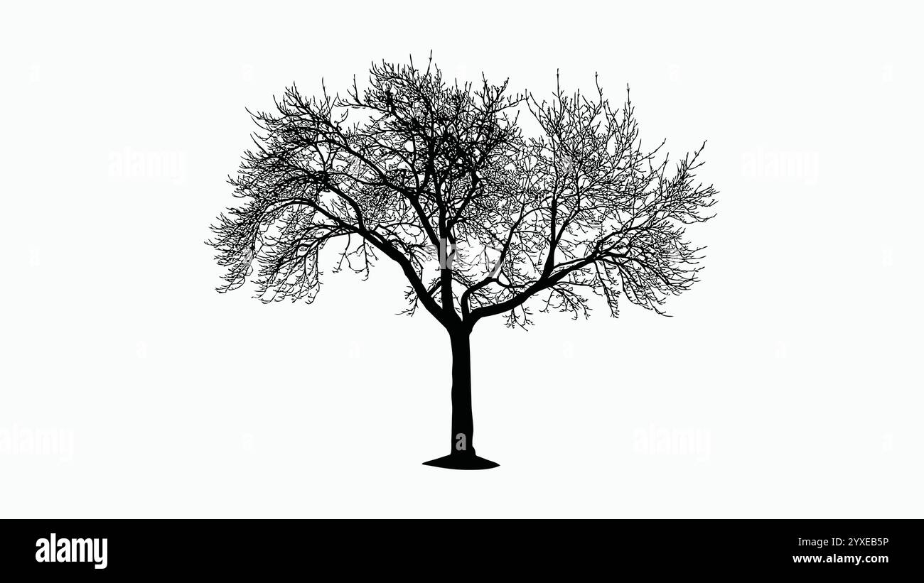 Coconut Tree Illustrations: Tropical Icons for Paradise-Inspired ...