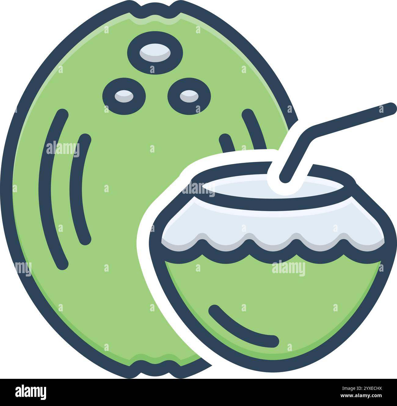Icon for coconut, nucifera Stock Vector Image & Art - Alamy
