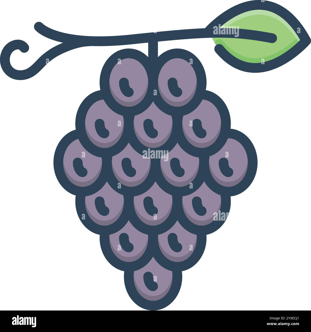 Raisin fruit Stock Vector Images - Alamy