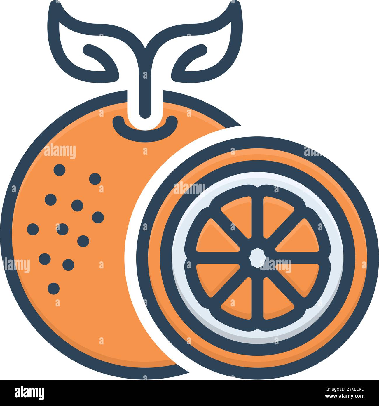 Icon for orange, tangerine Stock Vector Image & Art - Alamy