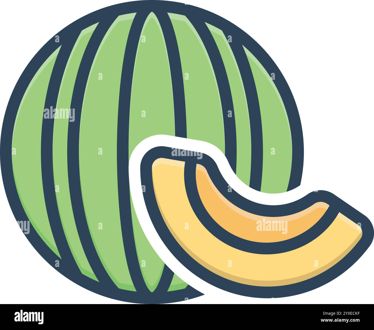 Cantaloupe melon slices Stock Vector Images - Alamy