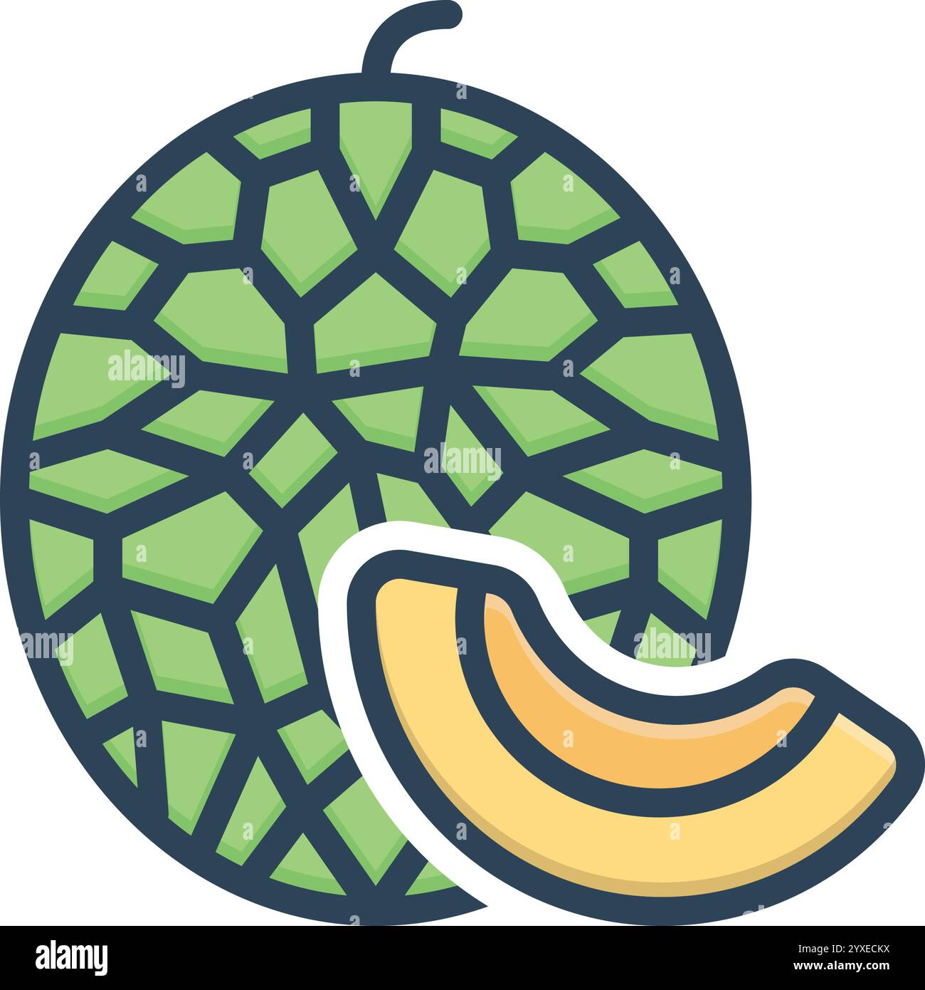 Icon for melon, cucurbitaceae Stock Vector Image & Art - Alamy