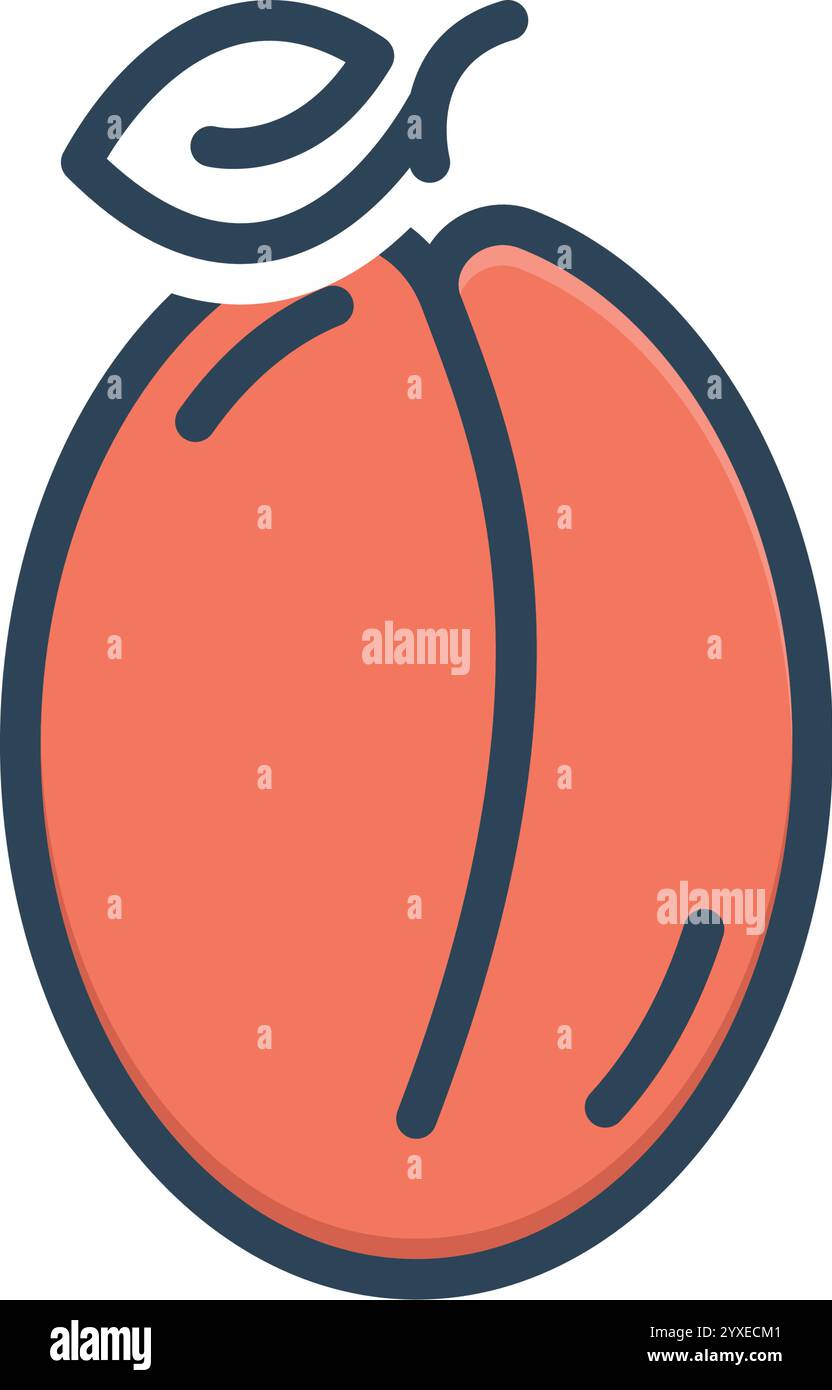 Prunus domestica domestica Stock Vector Images - Alamy