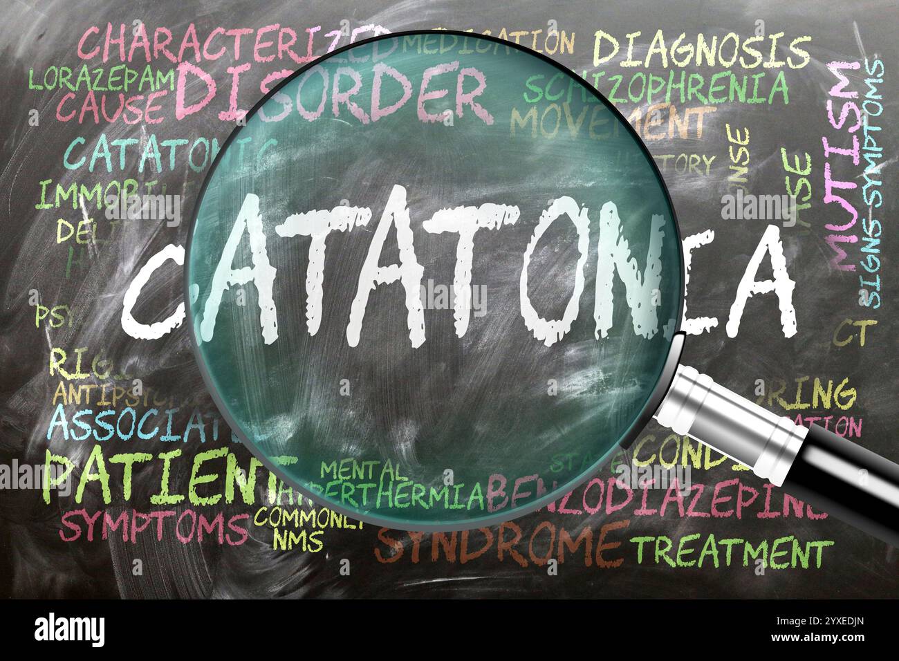 Catatonia being studied, examined - under close inspection. Most ...