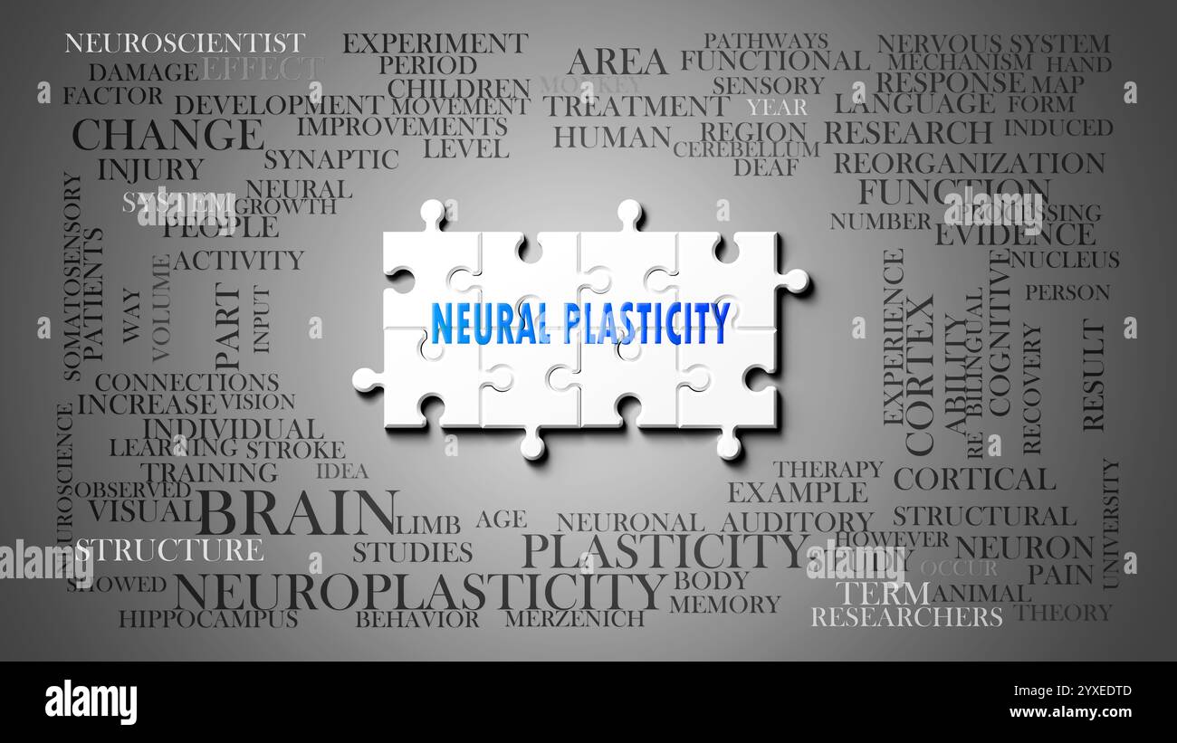 Neural plasticity symbol hi-res stock photography and images - Alamy