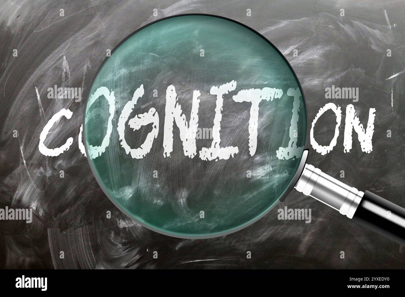 Cognition - learn, study and inspect it. Taking a closer look at cognition. A magnifying glass ...