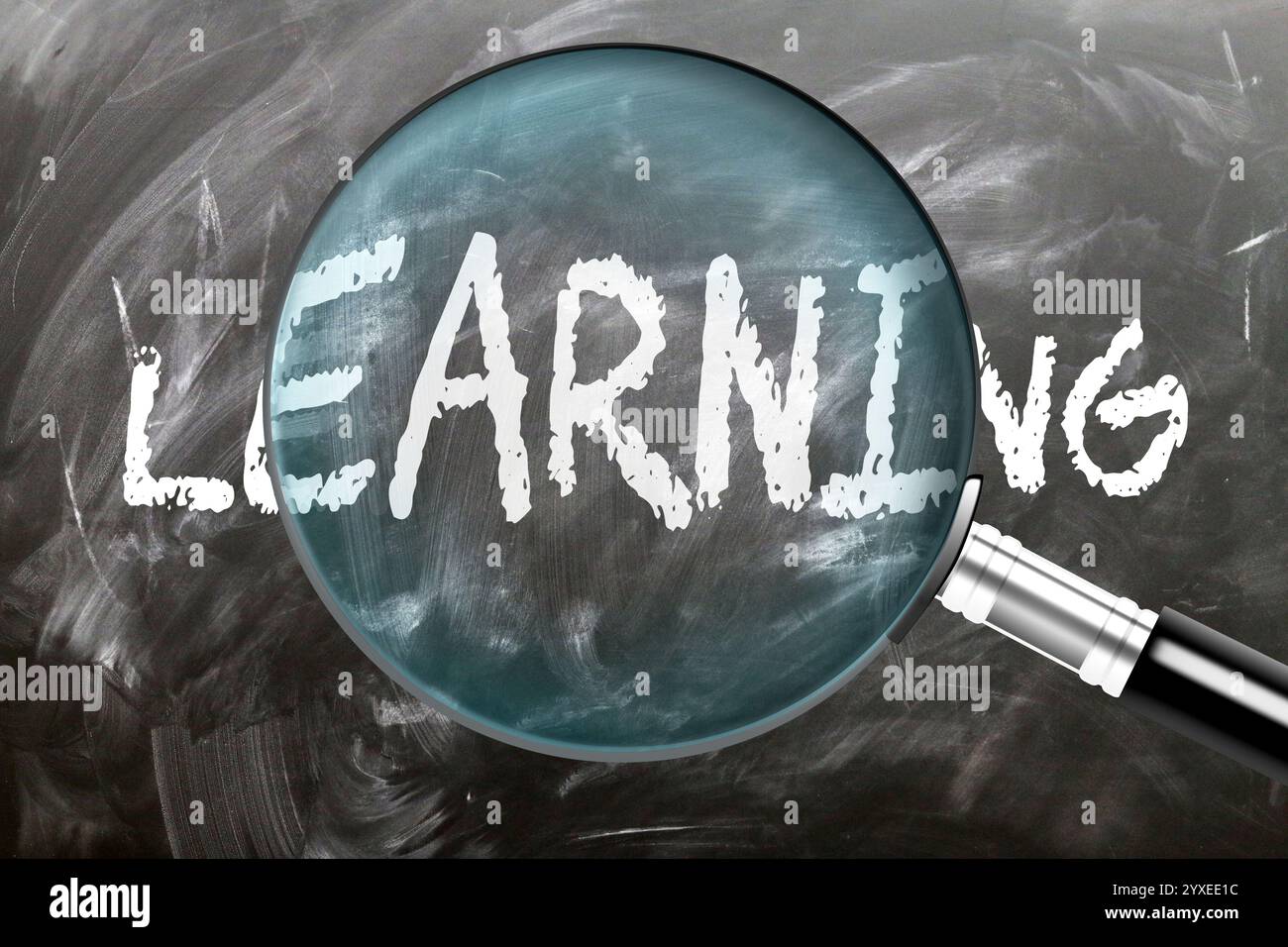 Learning - learn, study and inspect it. Taking a closer look at learning. A magnifying glass ...