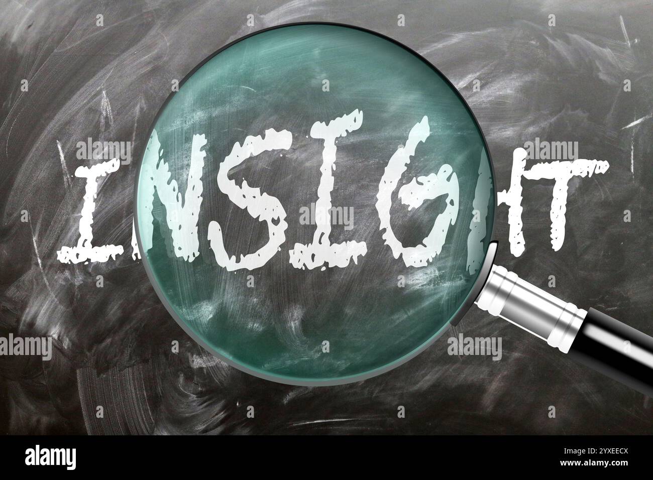 Insight - learn, study and inspect it. Taking a closer look at insight ...
