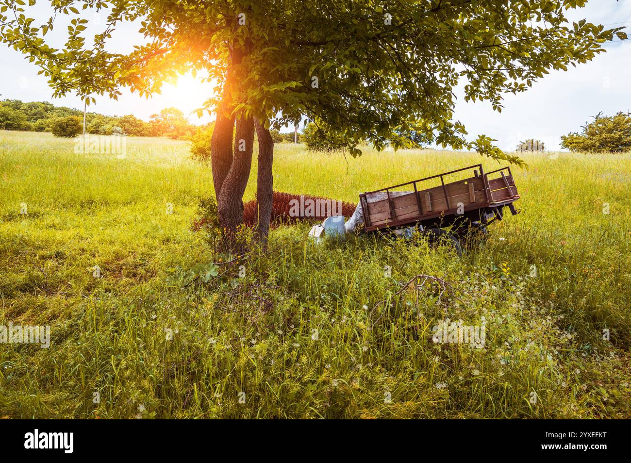 Carriage trailer cart hi-res stock photography and images - Alamy