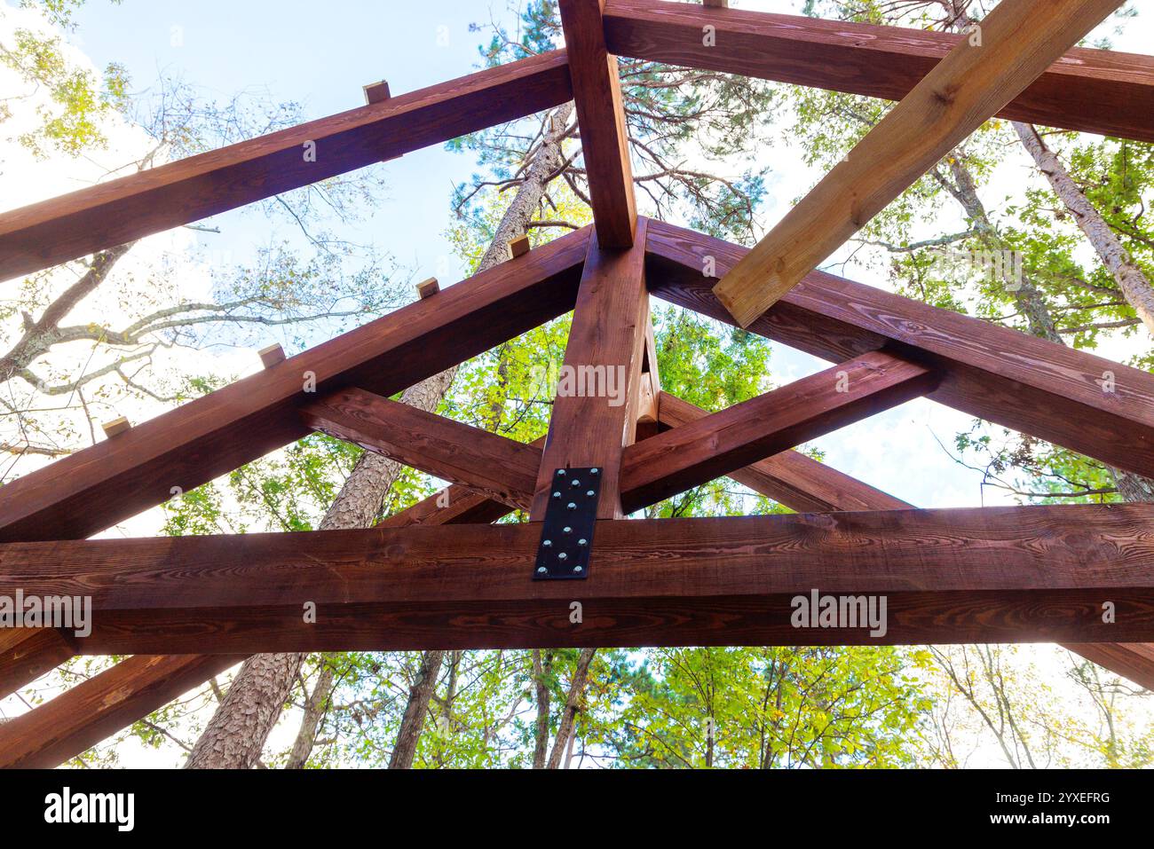 Wooden structure framework gazebo sunlight filters through leaves of ...