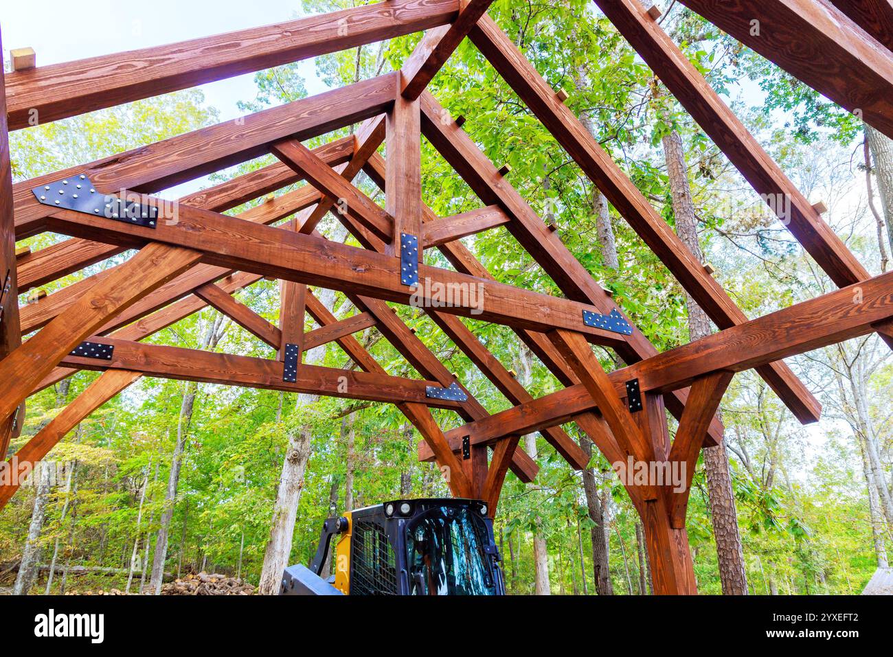 Solid wooden frame is being built for gazebo among tall trees, greenery ...