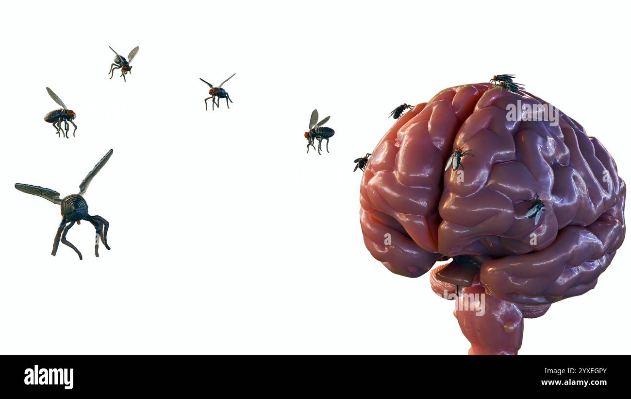 Brain rot hi-res stock photography and images - Alamy