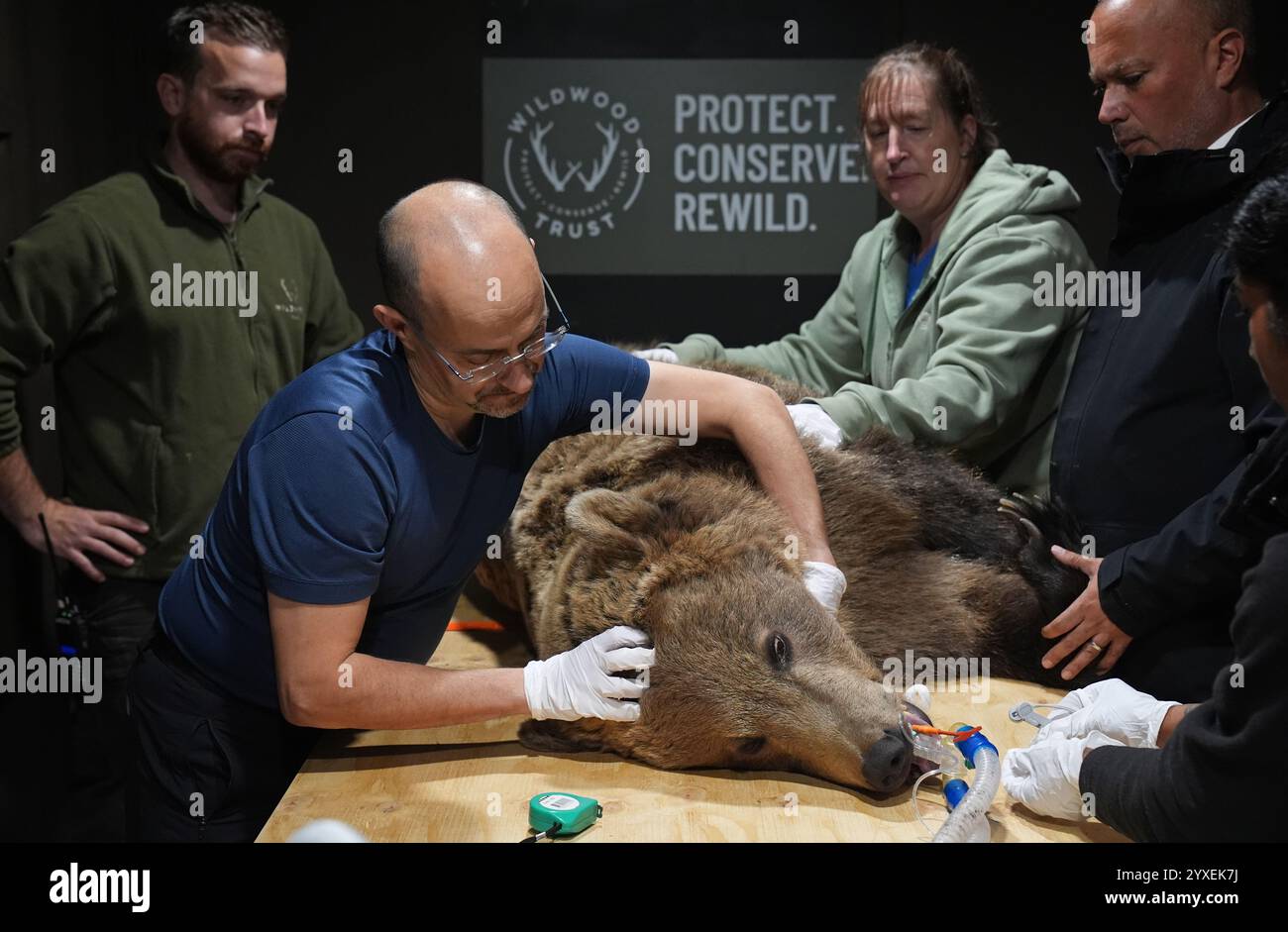 Roty2024 hi-res stock photography and images - Alamy