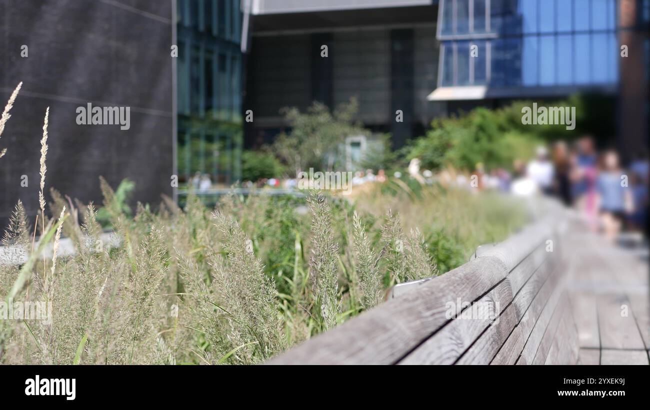 New York City High Line elevated greenway, Manhattan Midtown, USA ...