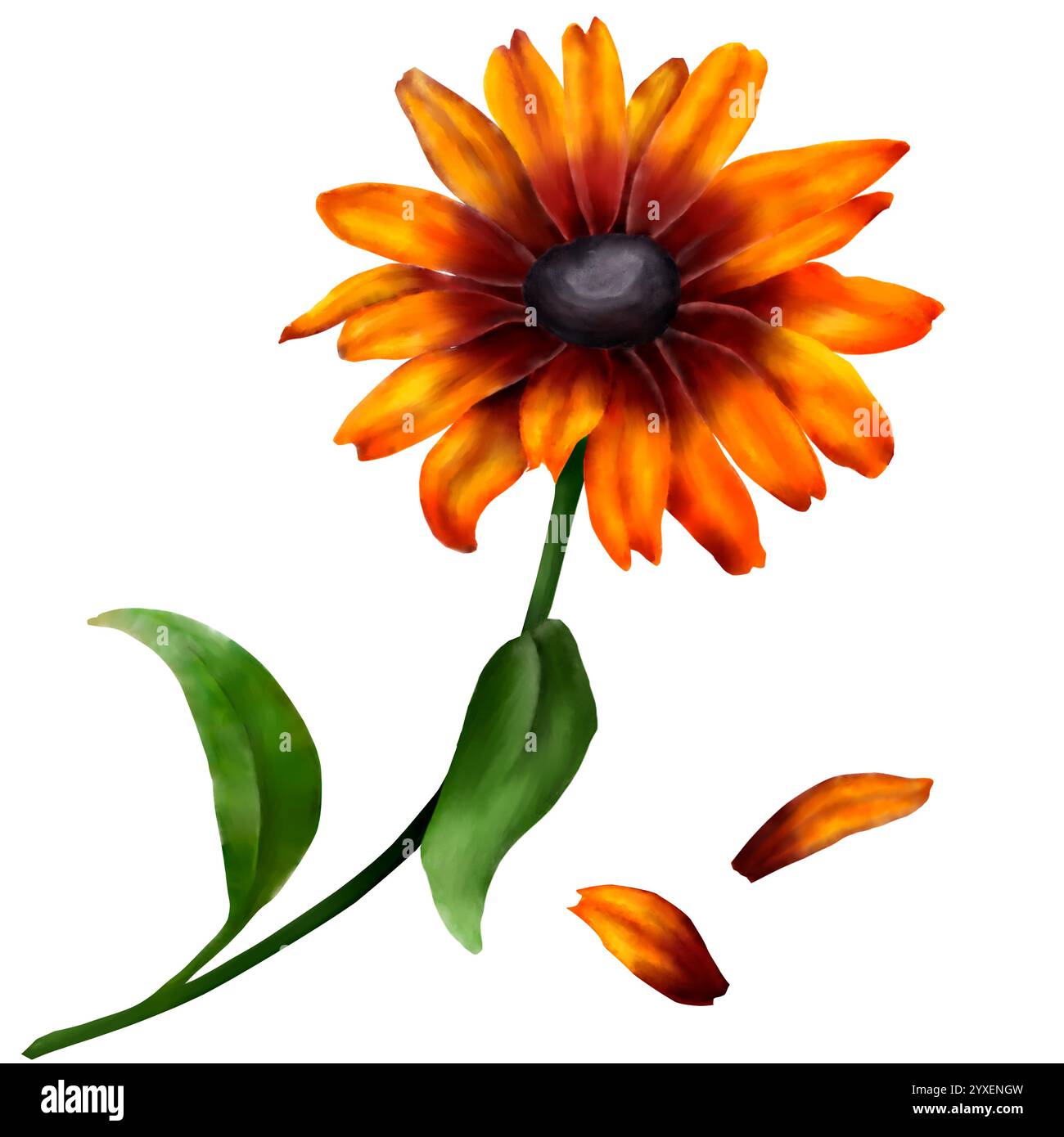 Meadow autumn leaves in Cut Out Stock Images & Pictures - Alamy