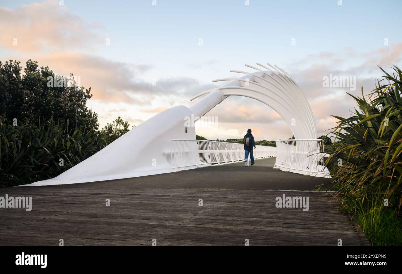 Tourist walking on the Te Rewa Rewa Bridge. New Plymouth Stock Photo ...