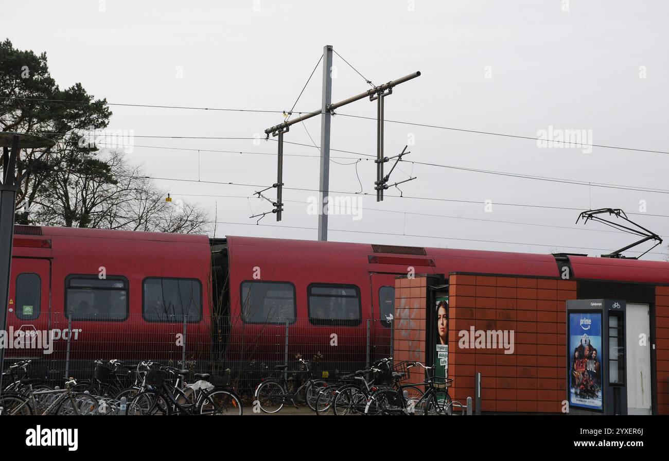 Copenhagen/ DenmarK/15 DECEMBER 2024/Danish local dsb public train ...