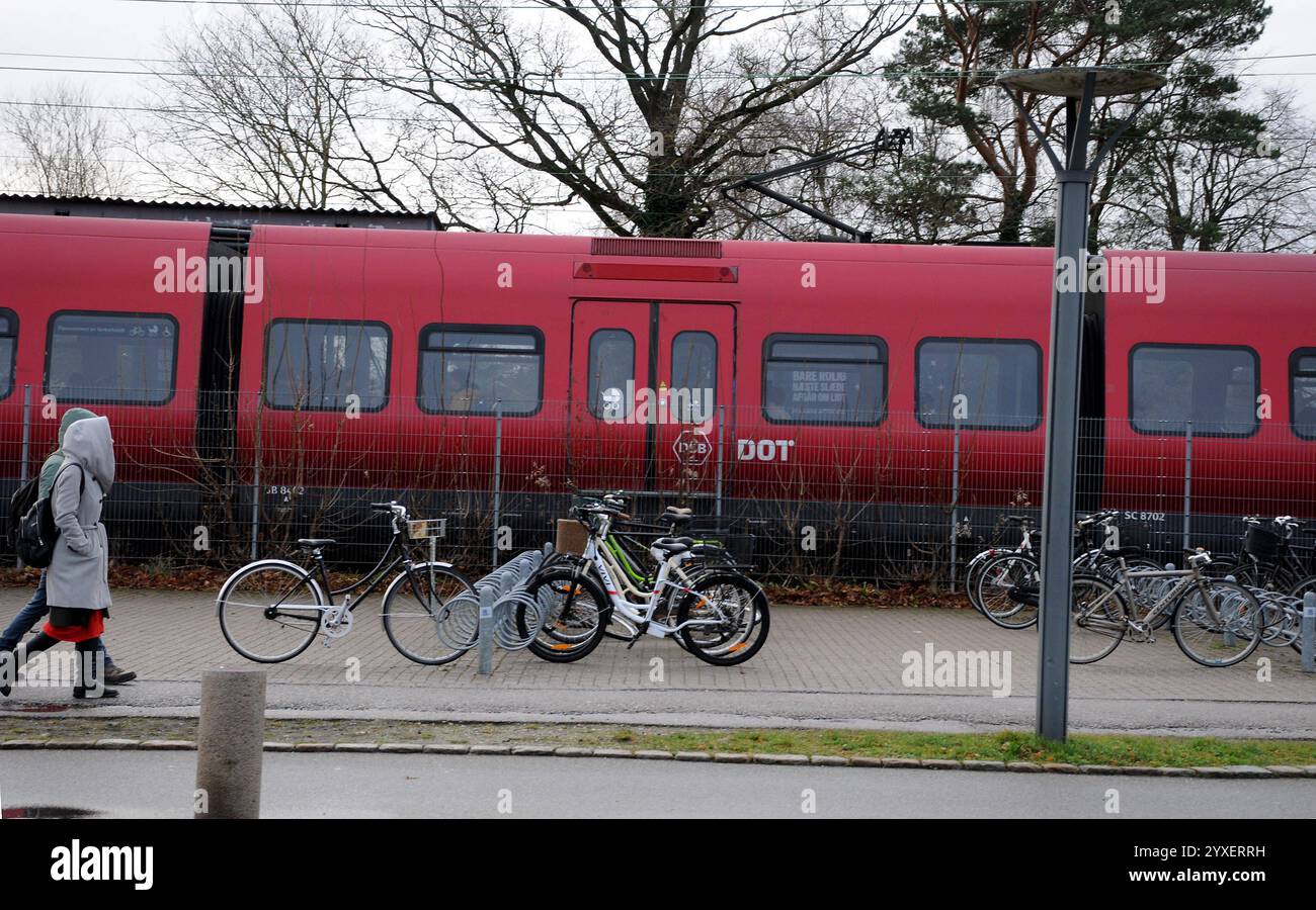 Copenhagen/ DenmarK/15 DECEMBER 2024/Danish local dsb public train ...