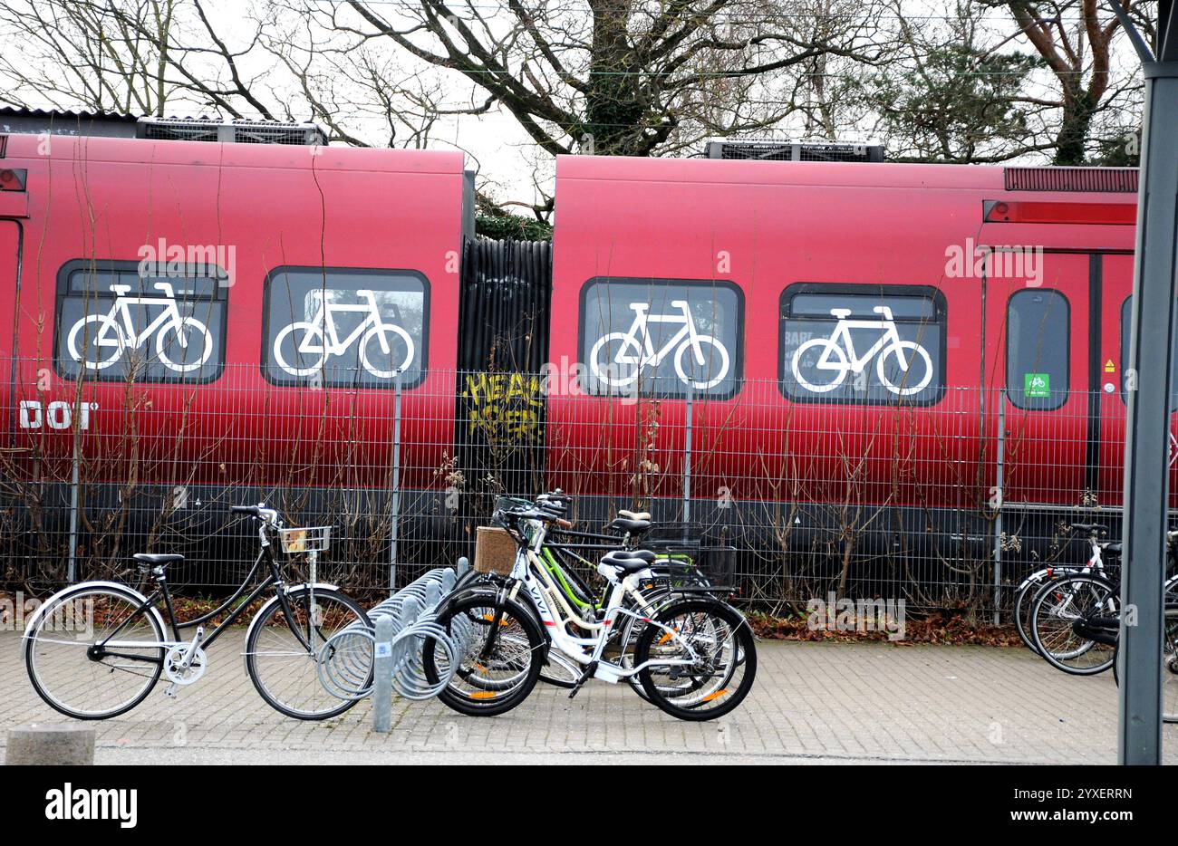 Copenhagen/ DenmarK/15 DECEMBER 2024/Danish local dsb public train ...