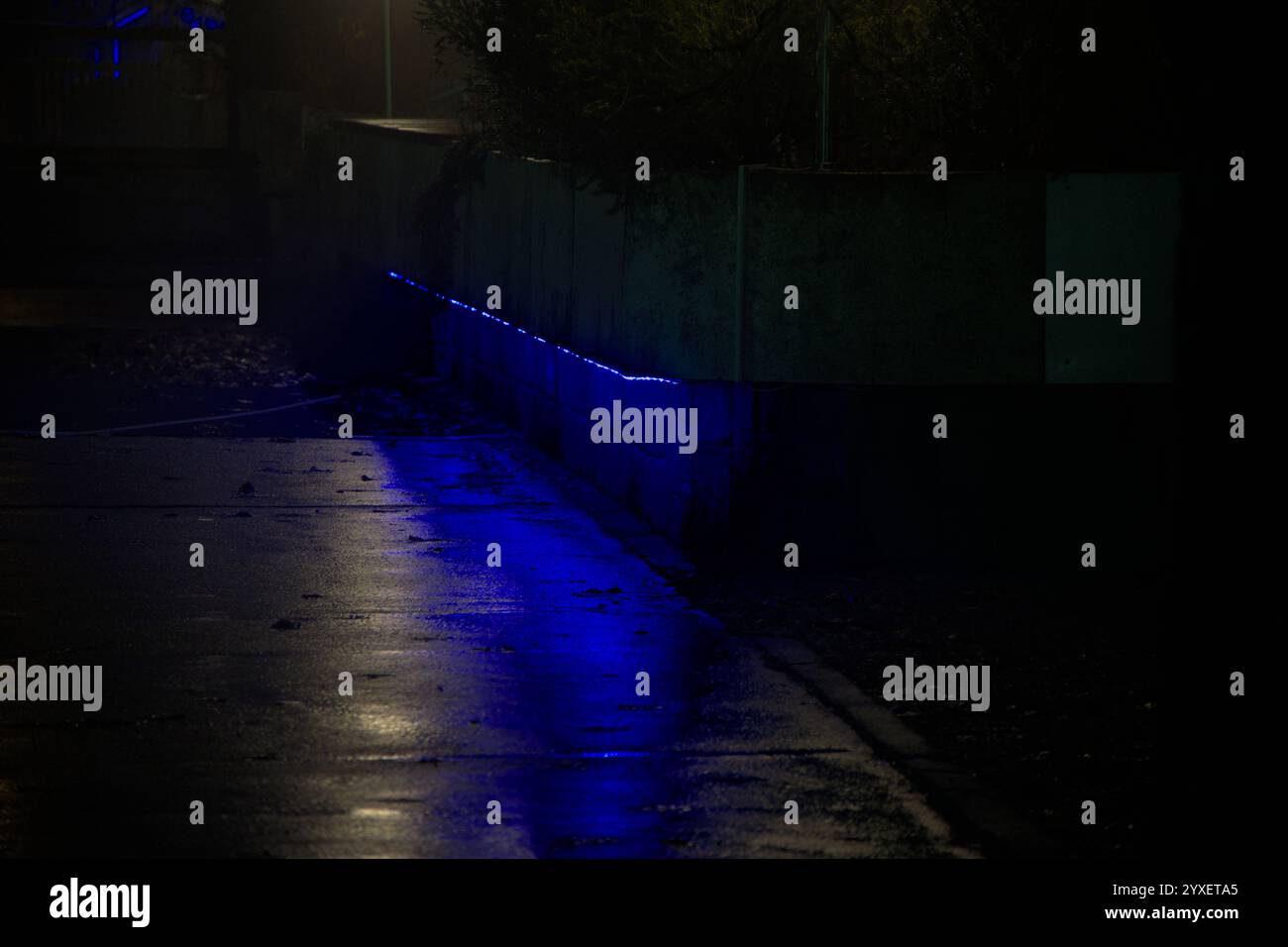 Blue light reflections on a wet sidewalk near a low wall on a misty ...