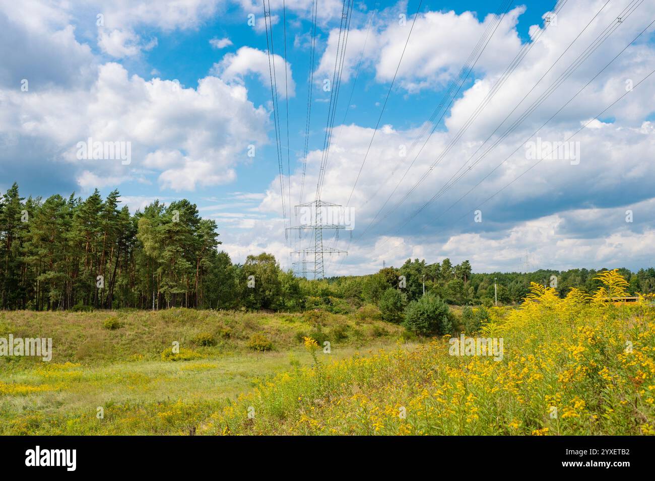 Electricity power lines in nature landscape. Green nature energy ...
