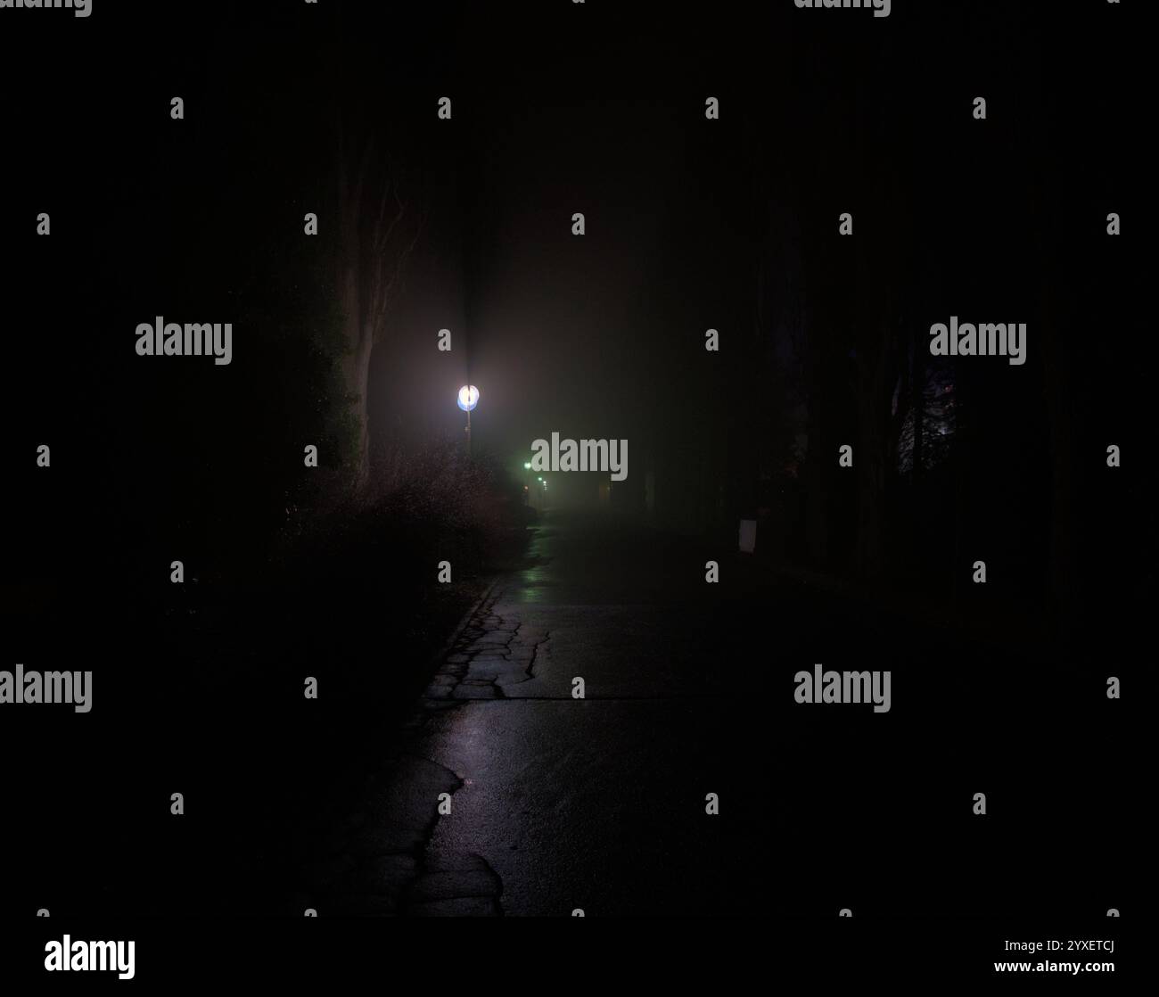 A dimly lit foggy path at night with a street lamp casting light ...