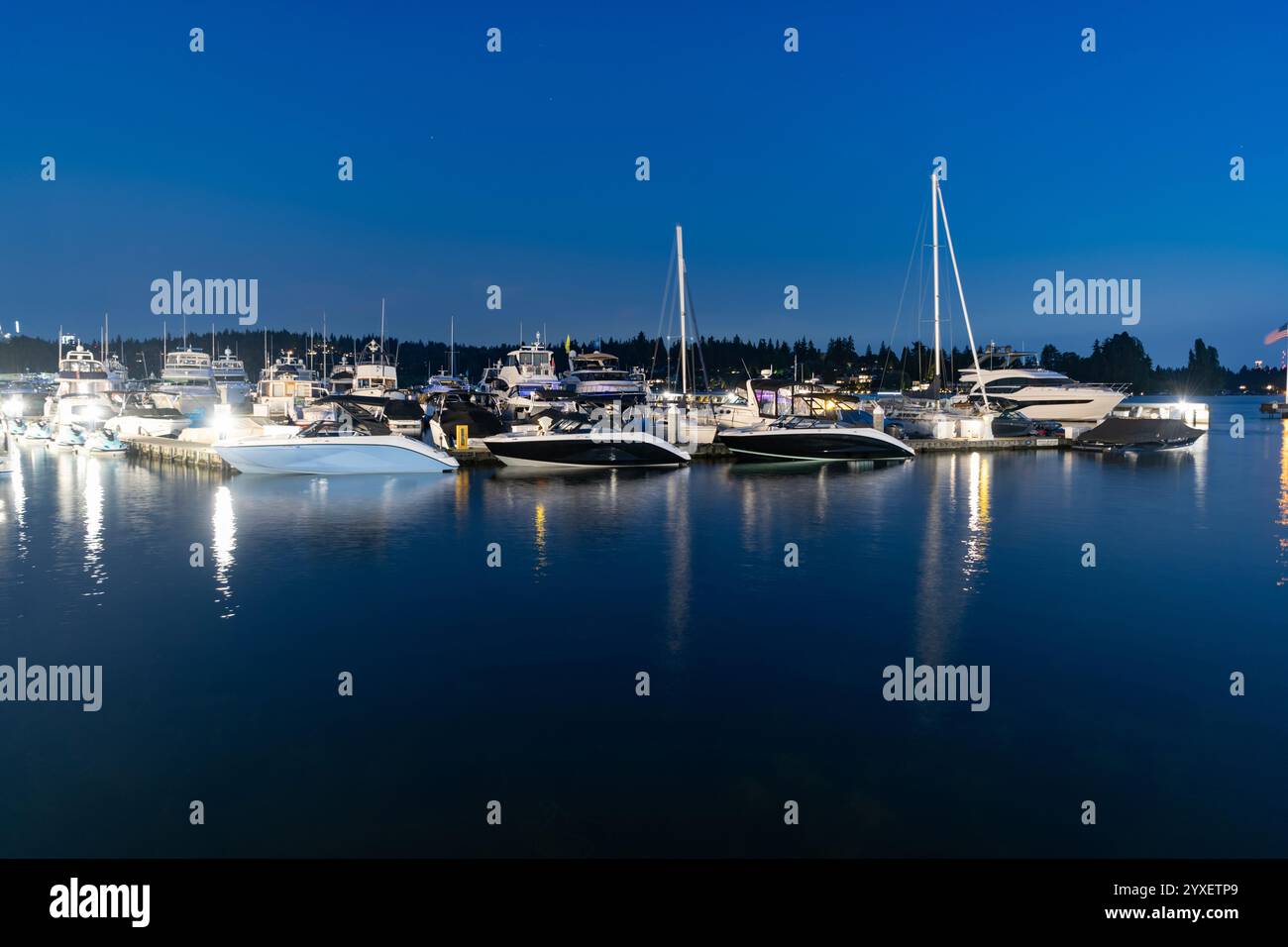 Marina at night. Summer vacation. Downtown city marina with luxury ...