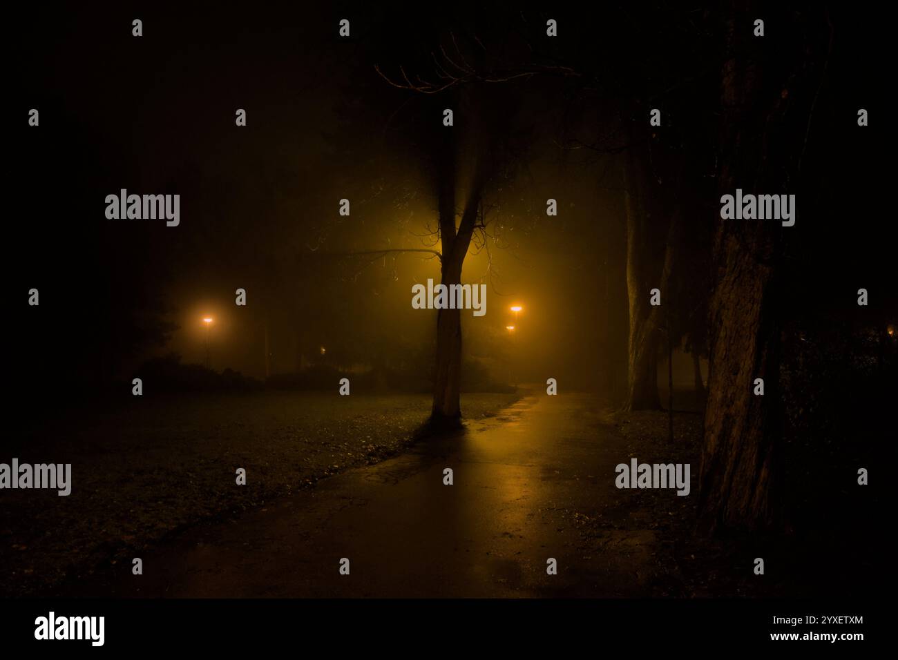 Dimly lit park at night with streetlights glowing through dense fog and ...