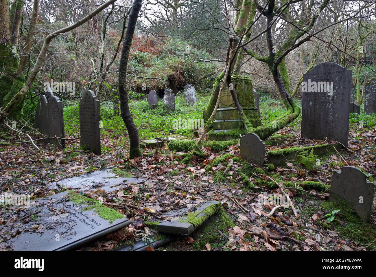 Tanysgafell Cemetery is an abandoned graveyard near Bethesda in North ...