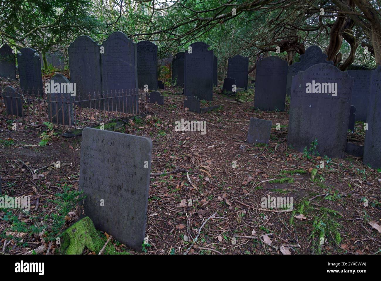Tanysgafell Cemetery is an abandoned graveyard near Bethesda in North ...