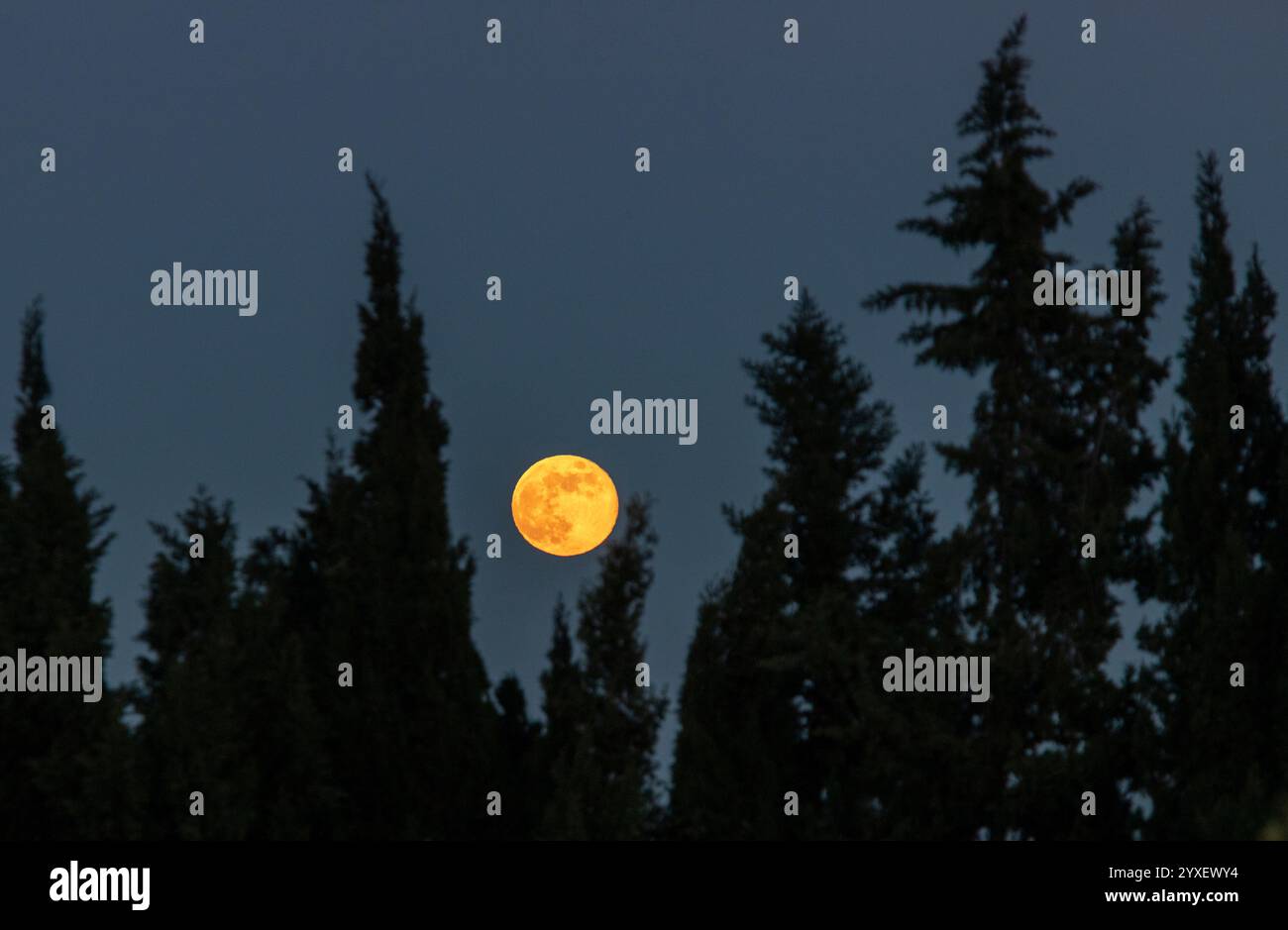 Moonrise night nighttime hi-res stock photography and images - Alamy