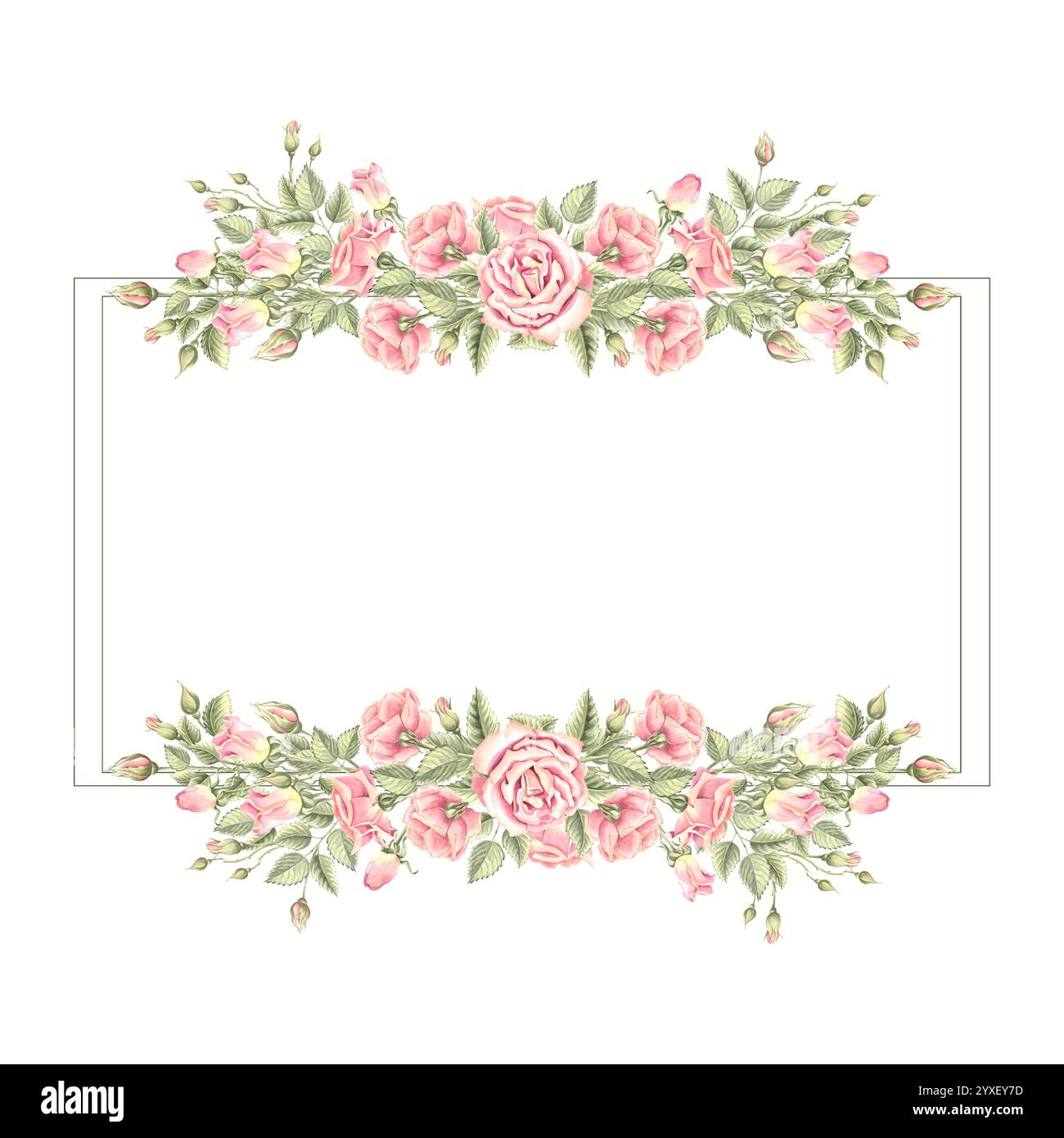 Pink roses with green leaves. Spring flowers horizontal frame, border ...