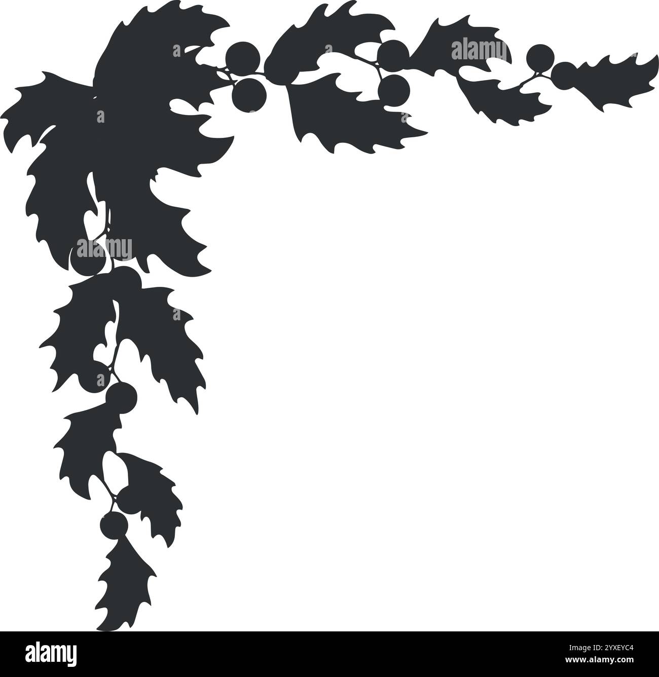 Holly and berries drawing illustration Black and White Stock Photos ...