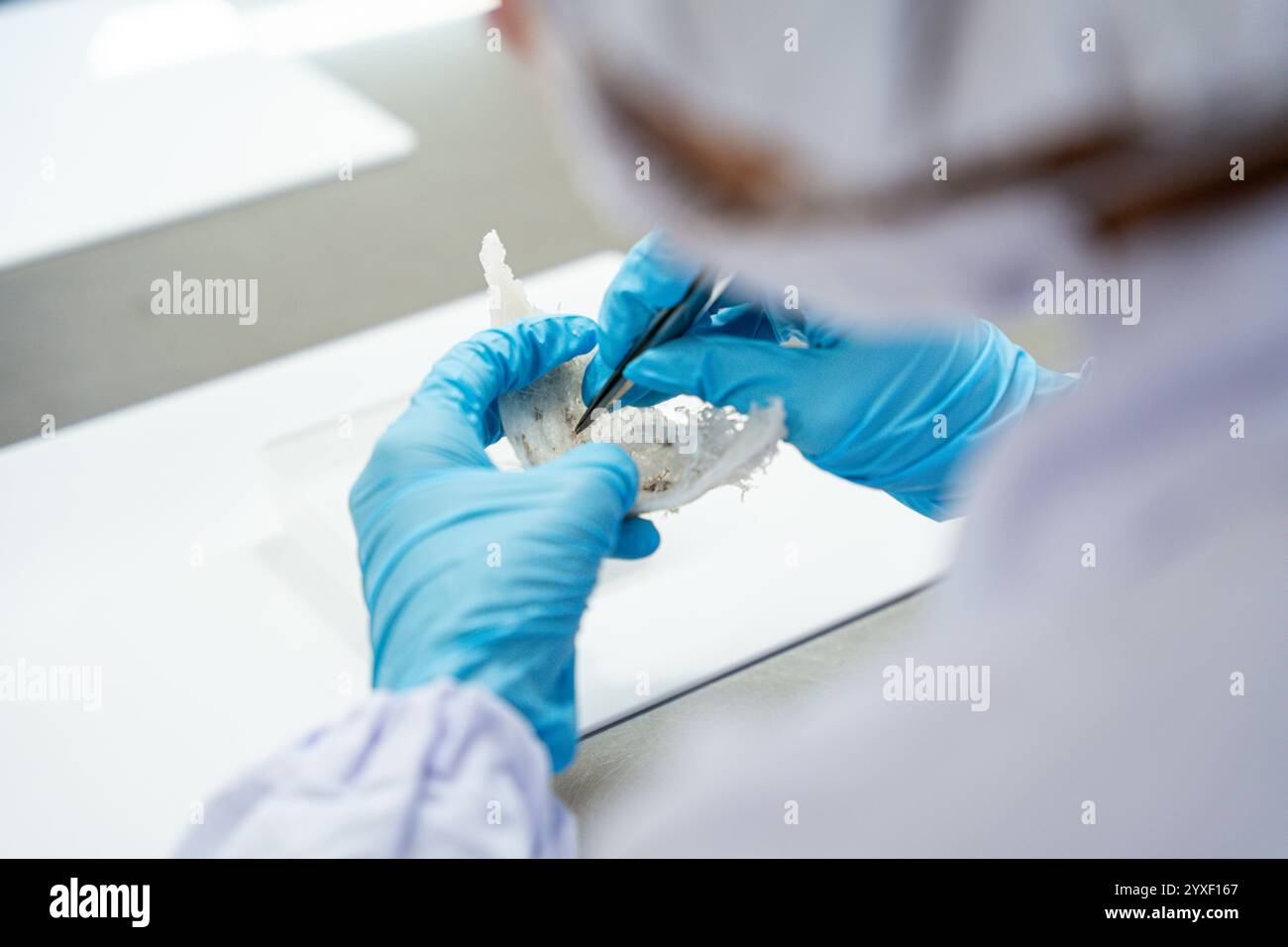 Raw edible bird's nest materials for tradition chinese medicine ...