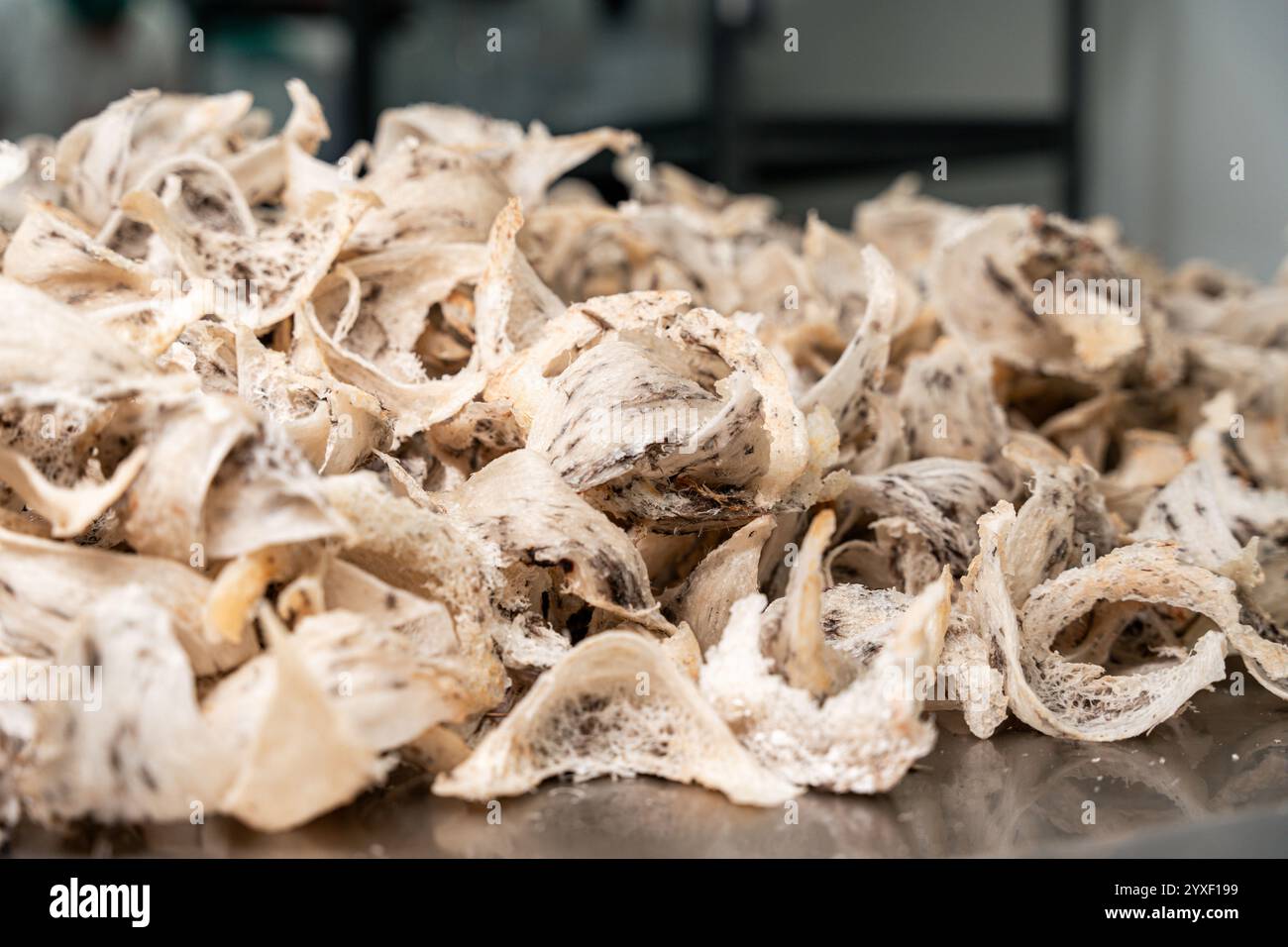 Raw edible bird's nest materials for tradition chinese medicine ...