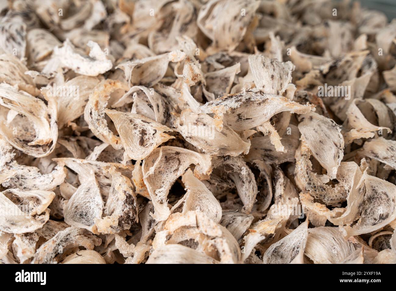 Raw edible bird's nest materials for tradition chinese medicine ...