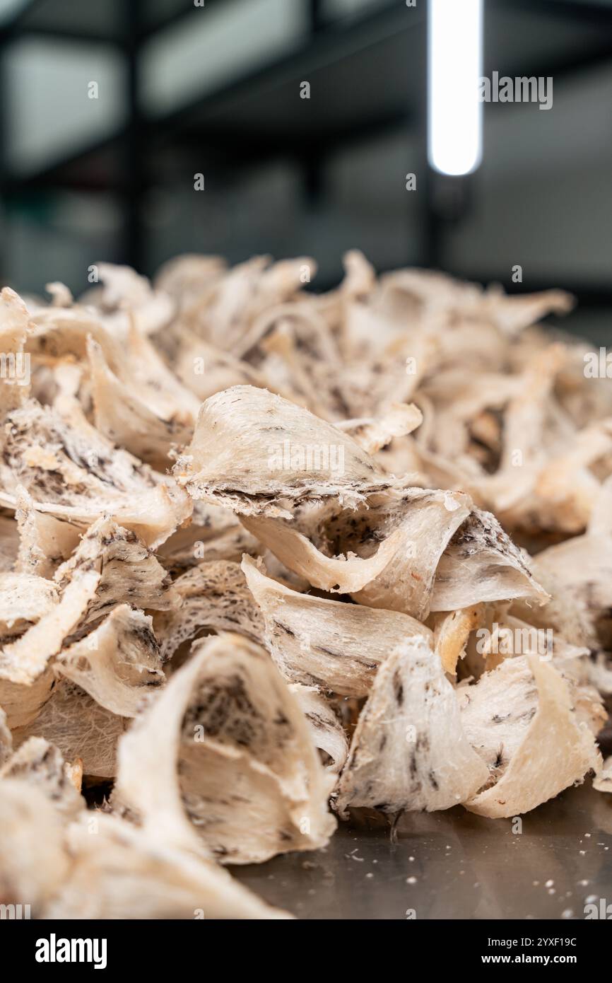 Raw edible bird's nest materials for tradition chinese medicine ...