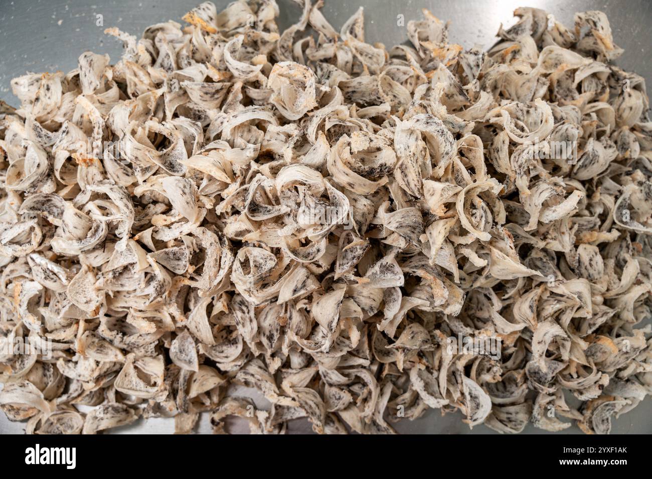 Raw edible bird's nest materials for tradition chinese medicine ...