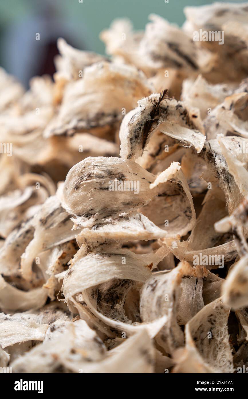Raw edible bird's nest materials for tradition chinese medicine ...