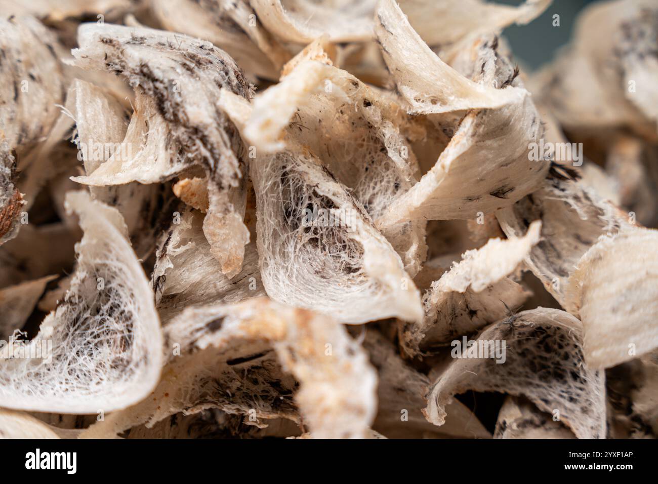 Raw edible bird's nest materials for tradition chinese medicine ...