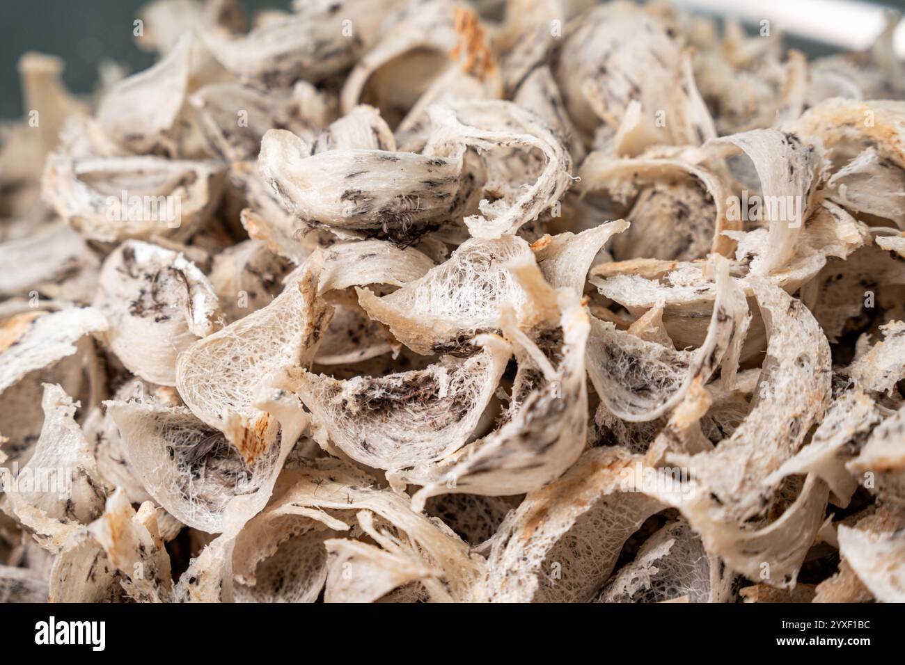 Raw edible bird's nest materials for tradition chinese medicine ...