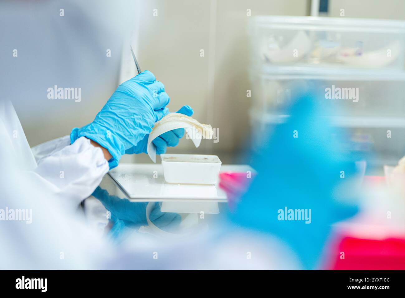 Raw edible bird's nest materials for tradition chinese medicine ...