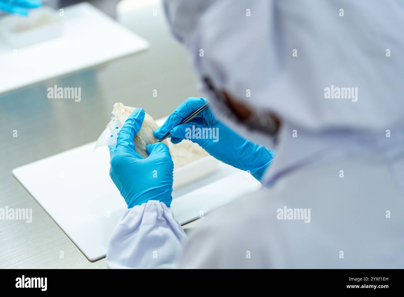 Raw edible bird's nest materials for tradition chinese medicine ...