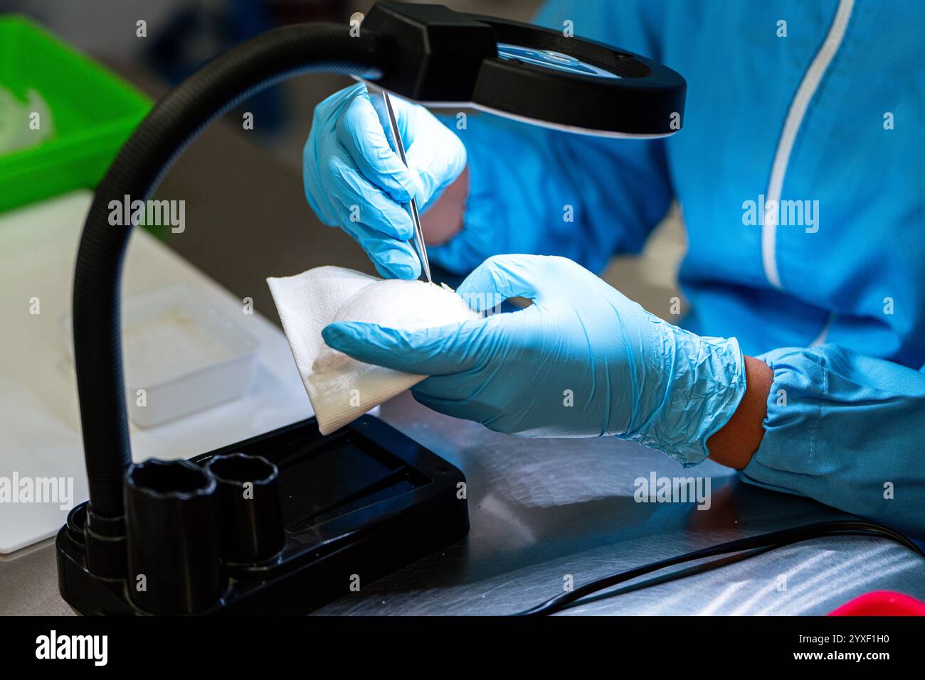 Raw edible bird's nest materials for tradition chinese medicine ...