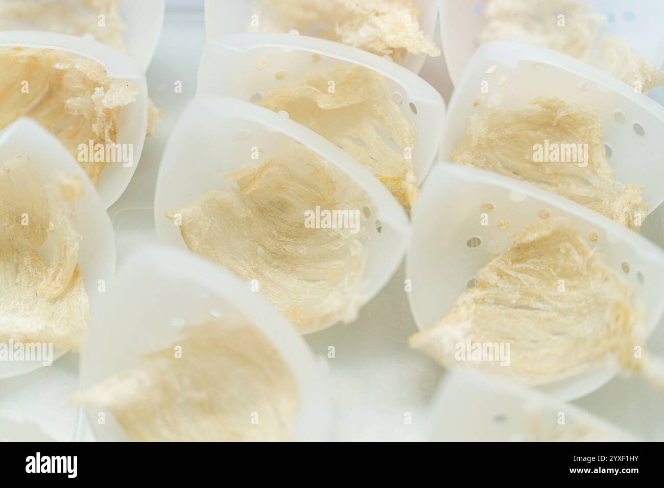 Raw edible bird's nest materials for tradition chinese medicine ...