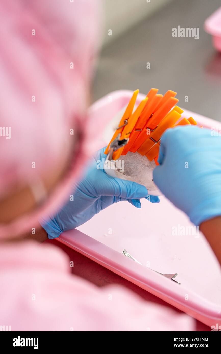 Raw edible bird's nest materials for tradition chinese medicine ...