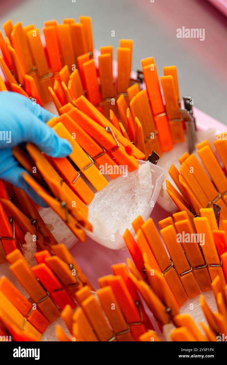 Raw edible bird's nest materials for tradition chinese medicine ...