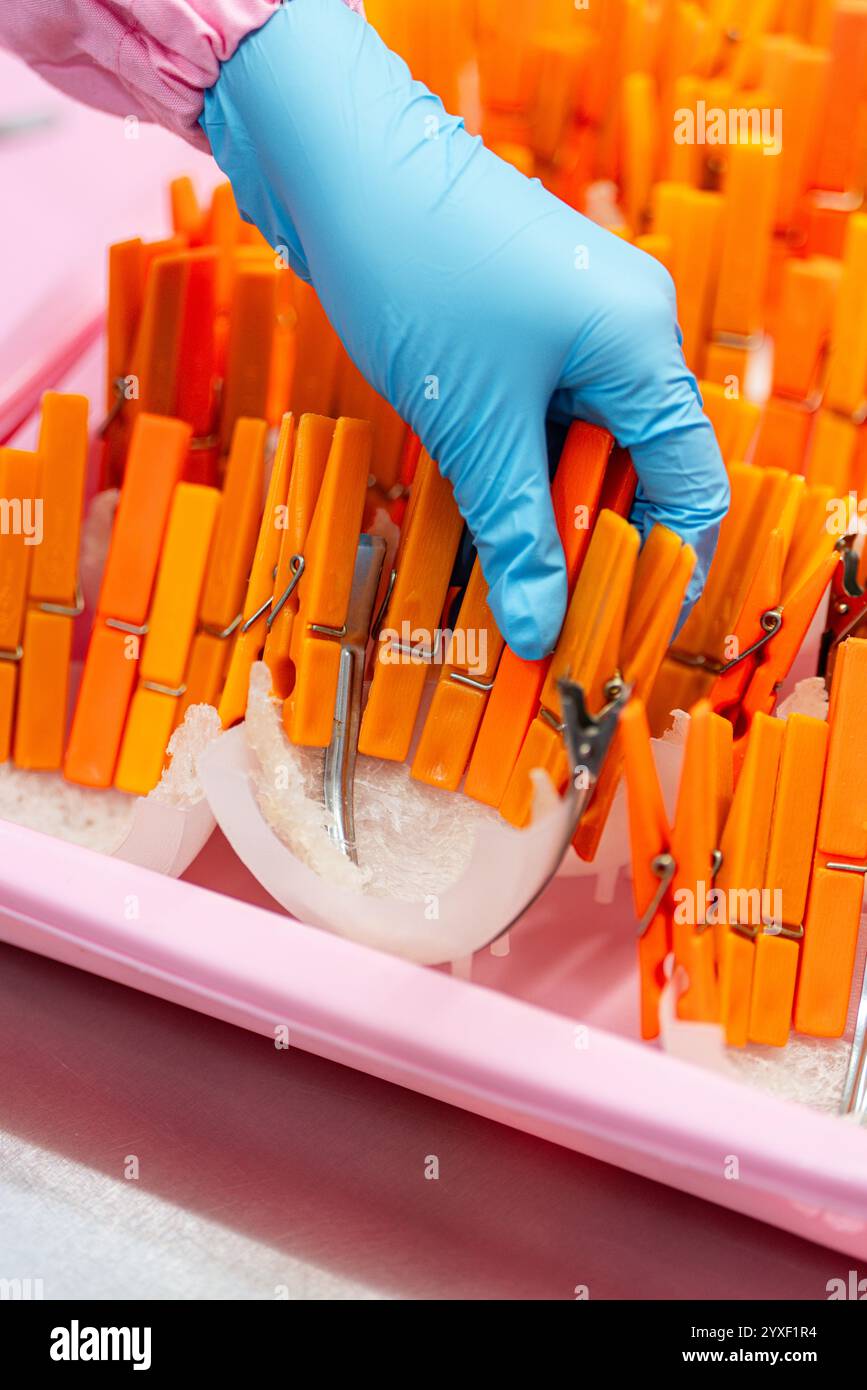 Raw edible bird's nest materials for tradition chinese medicine ...