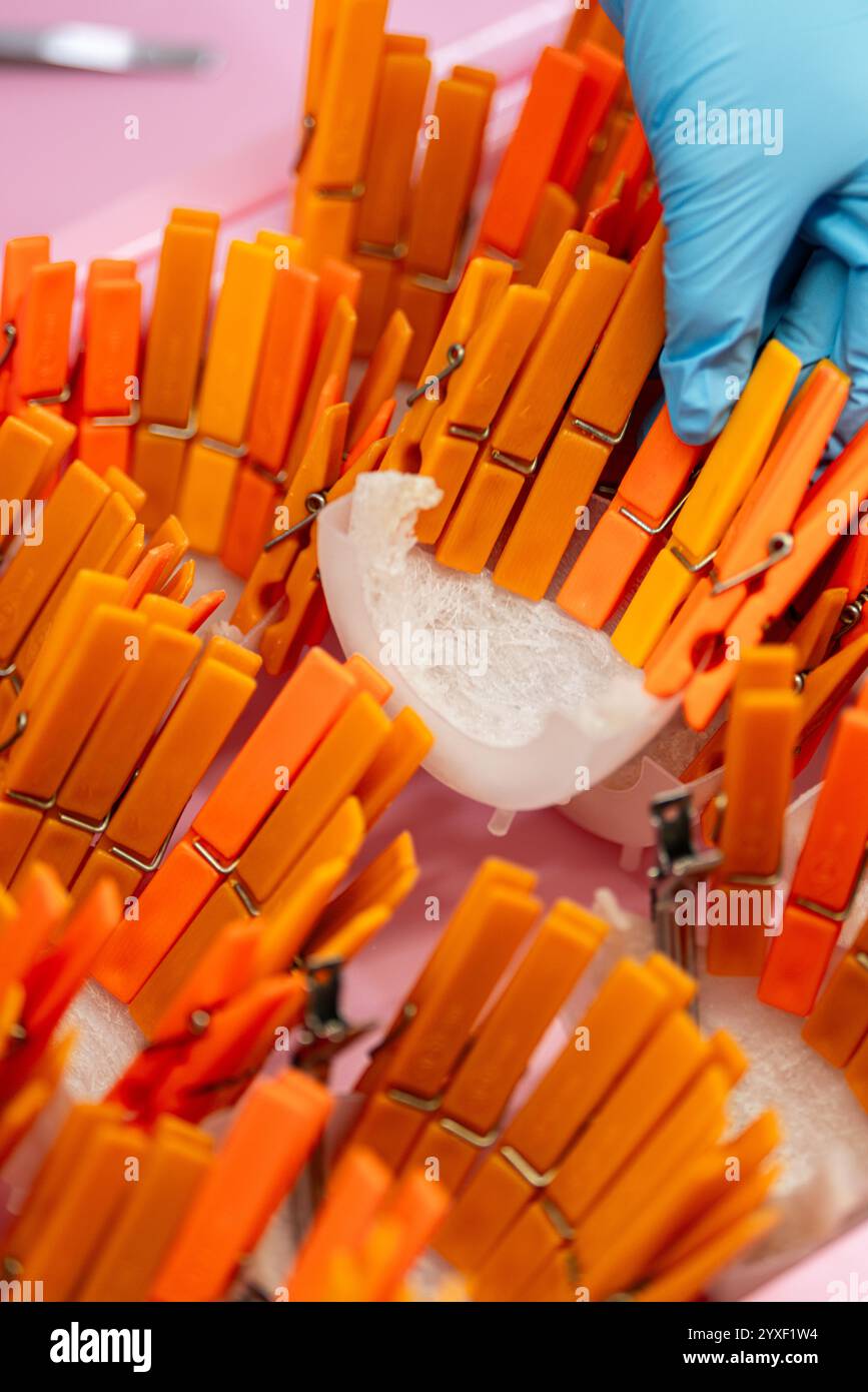 Raw edible bird's nest materials for tradition chinese medicine ...