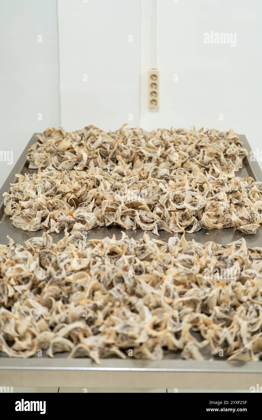 Raw edible bird's nest materials for tradition chinese medicine ...